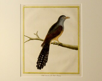 French martinet | Etsy