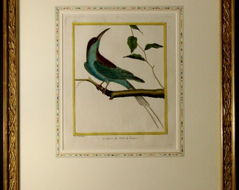 French martinet | Etsy