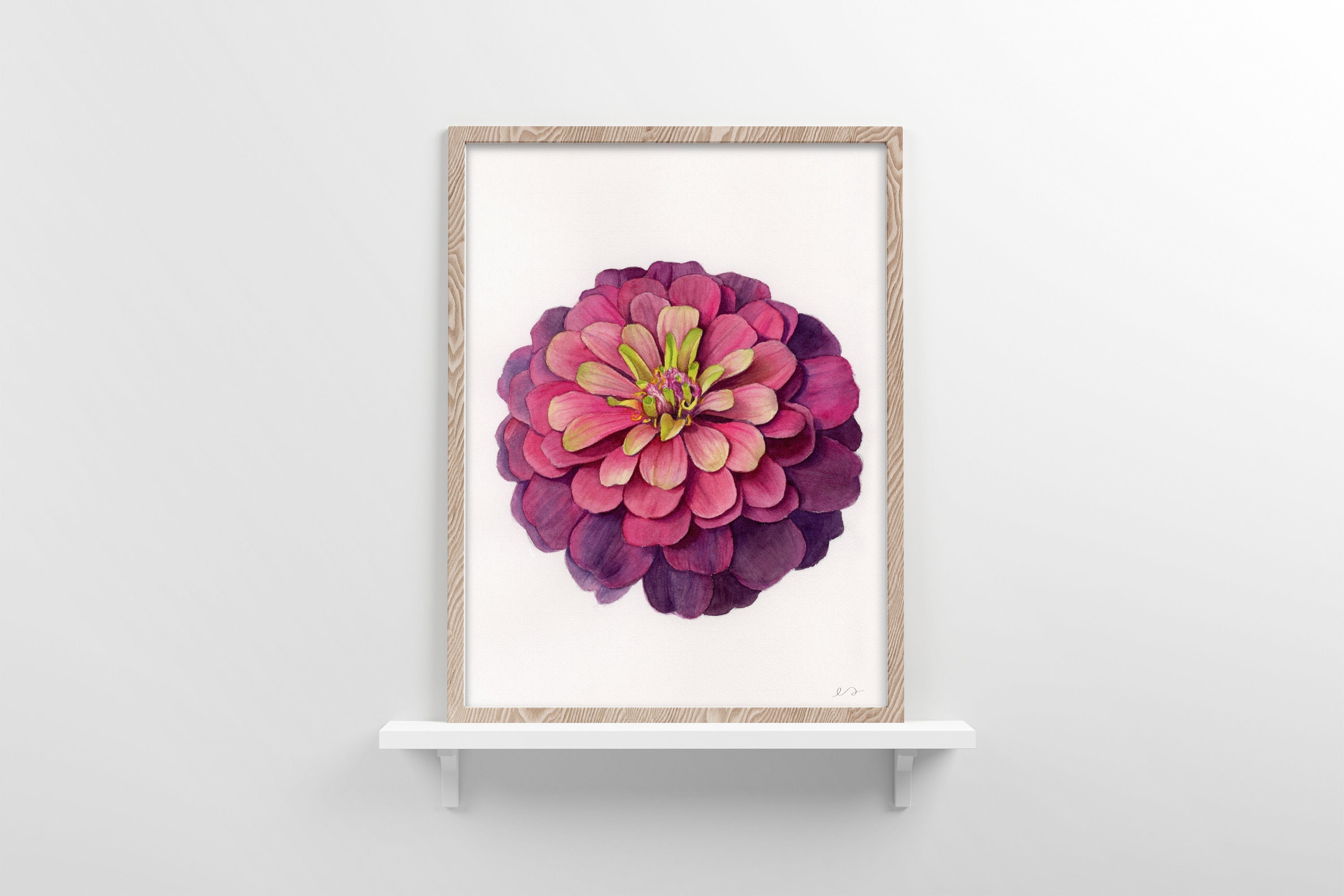 Zinnia Watercolor PRINTABLE Instant Digital Download - Etsy