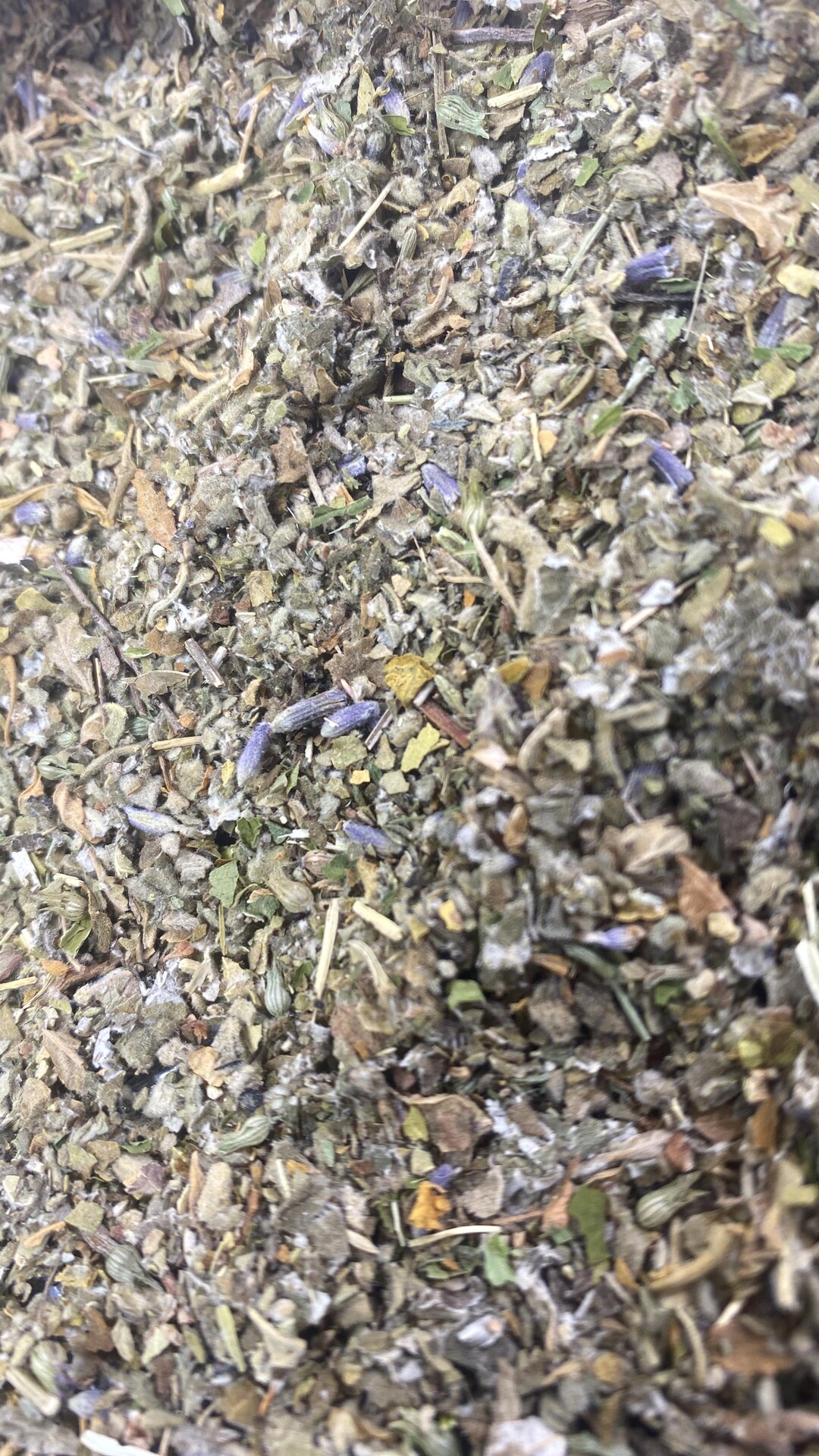No.89 Organic Herbal Blend: Damiana, Mullein, Lavender Plus More! - Etsy