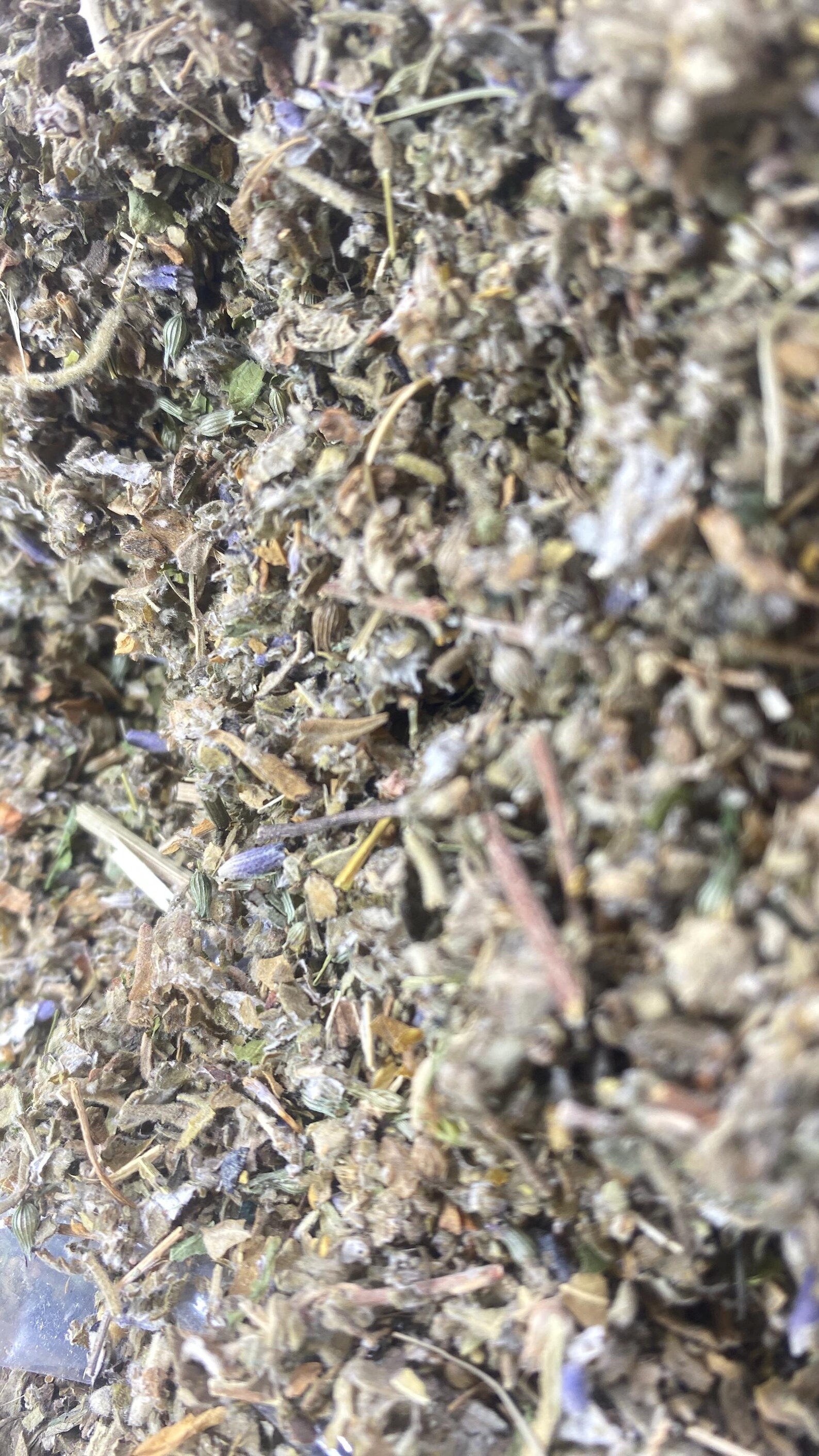 No.89 Organic Herbal Blend: Damiana, Mullein, Lavender Plus More! - Etsy