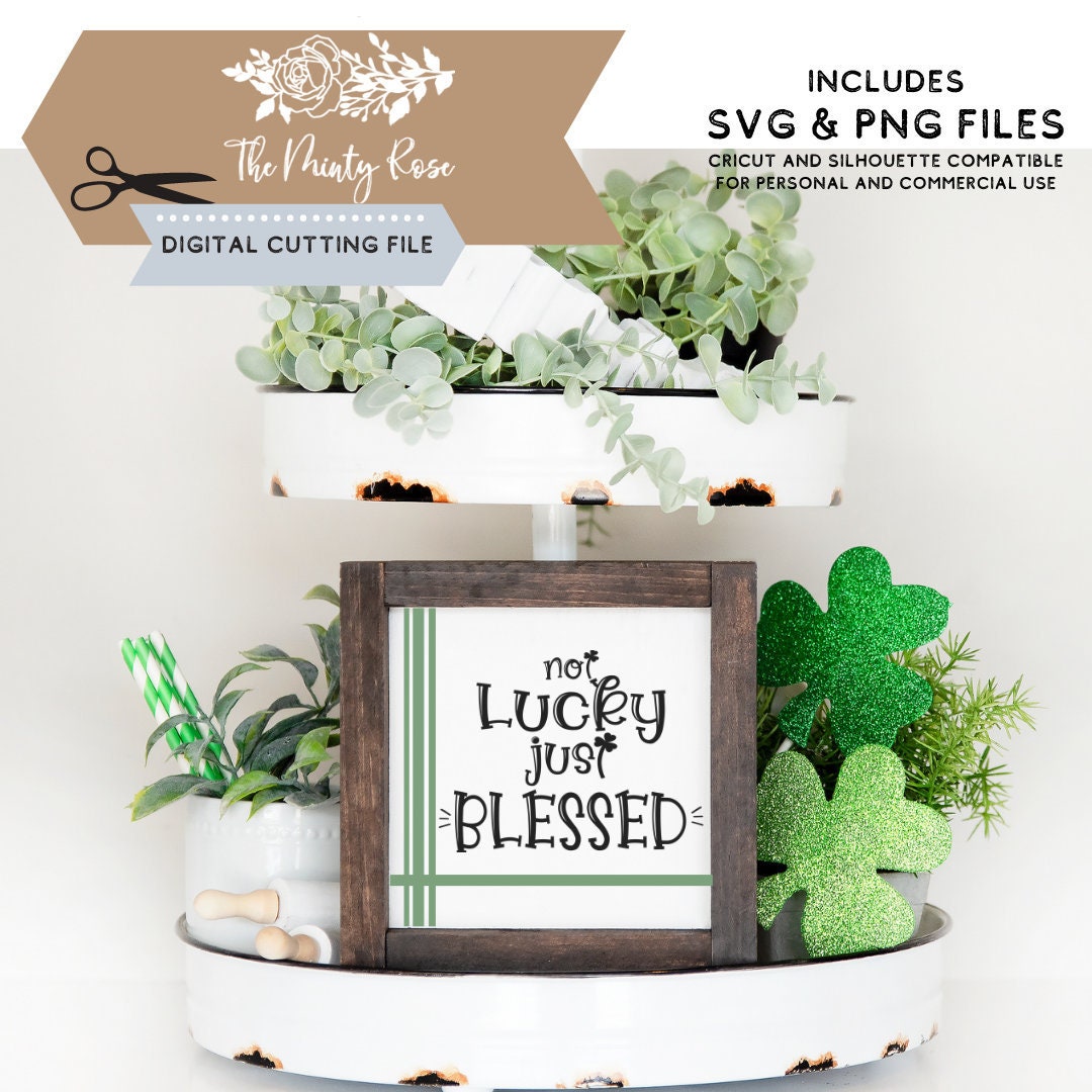 Not Lucky just blessed svg St Patrick's Day svg Blessed | Etsy