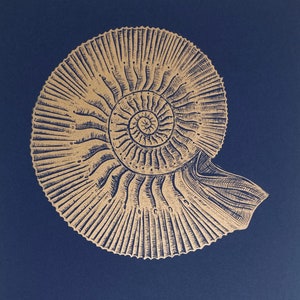 Metallic Gold Ammonite Original Linocut Print unframed - Etsy
