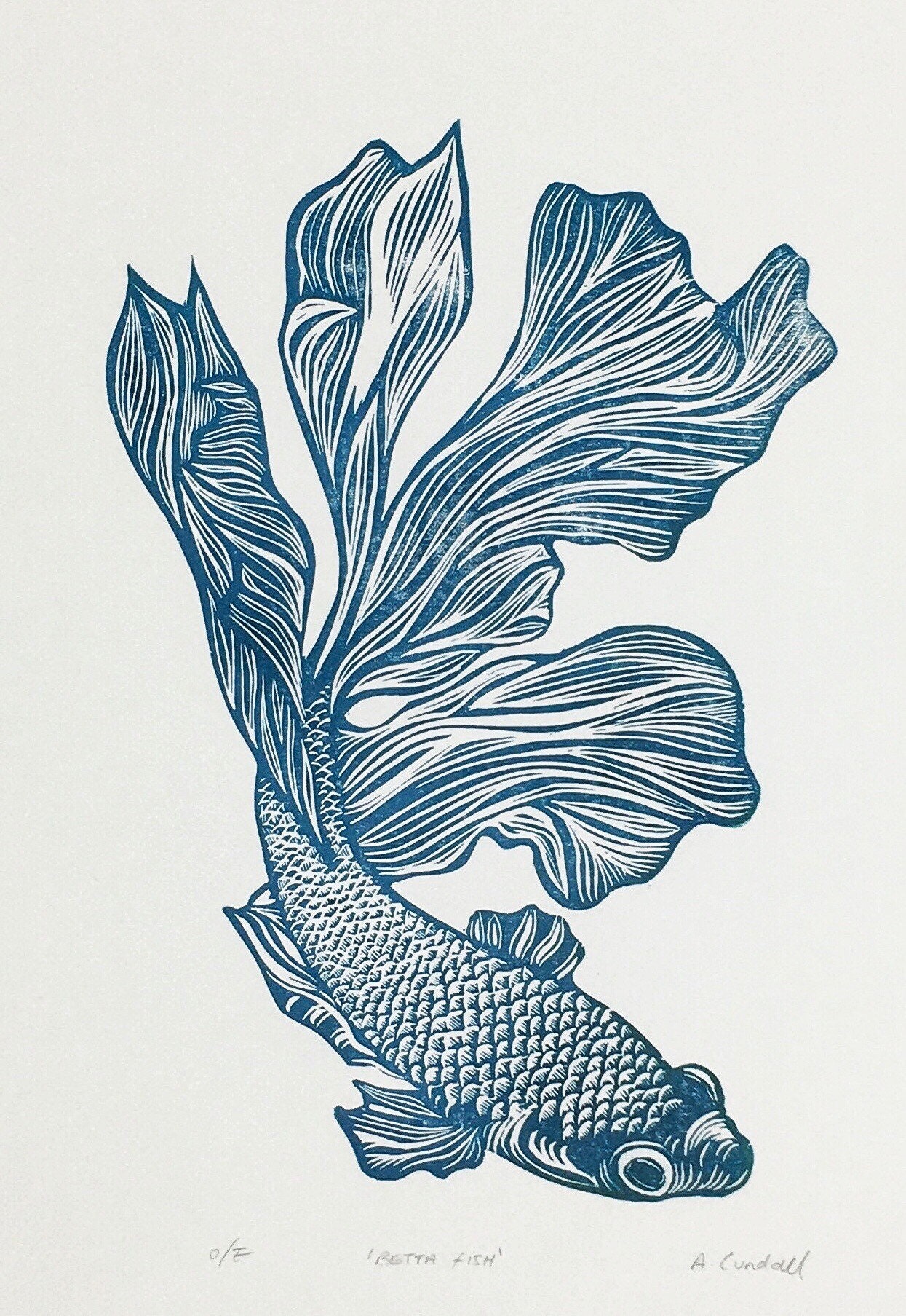 Betta Fisch Original Linoldruck ungerahmt - Etsy.de
