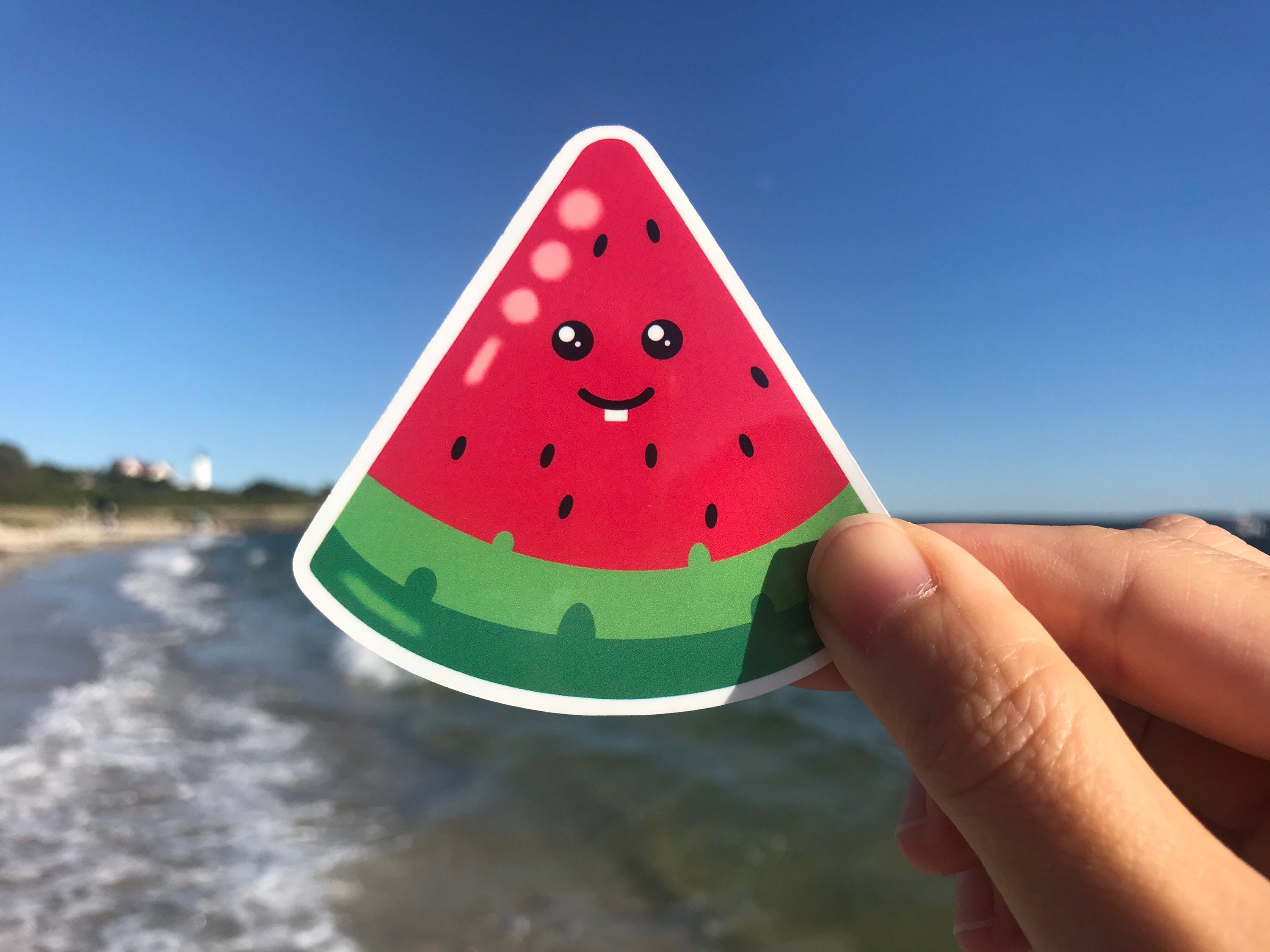 Watermelon Sticker. Fruit Sticker. Watermelon Decal | Etsy