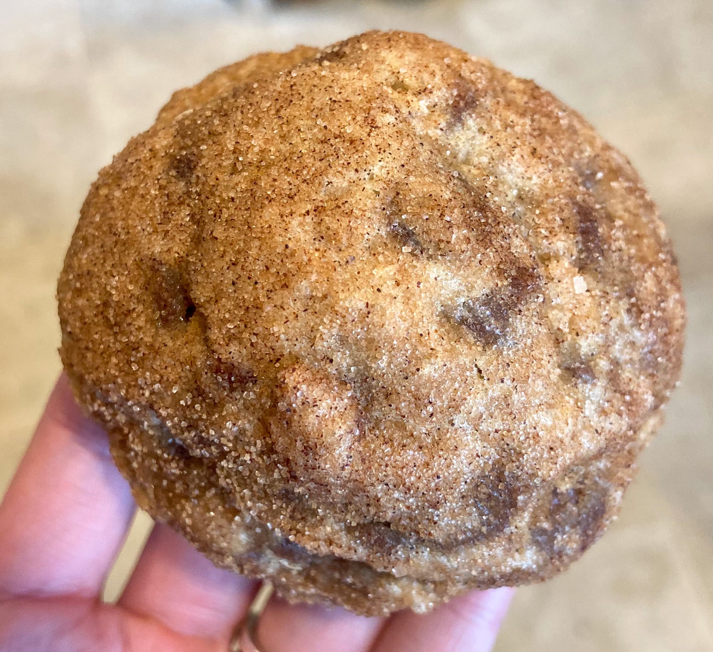 Oatmeal Cinna-chip Recipe/the Hybrid Cookie/giant Cookies/gourmet ...