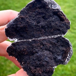 Lumps of Coal/black Cocoa Cookie Recipe/christmas Recipes/seasonal ...