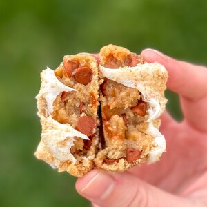 Cinnamony Crunch Cookie Recipe/cinnamon Sugar Cereal Cookies/gourmet ...