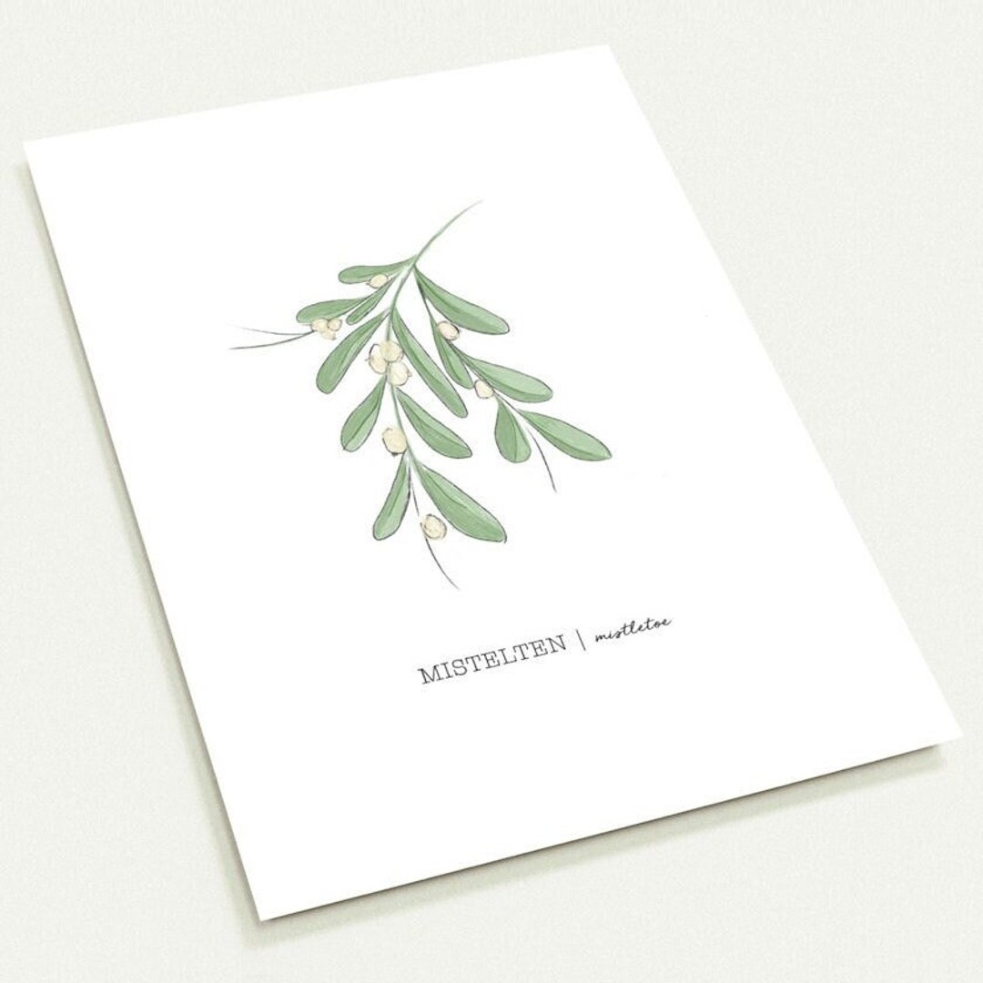 Mistletoe Christmas Greeting Cards (packs of 10). Holiday Season ...