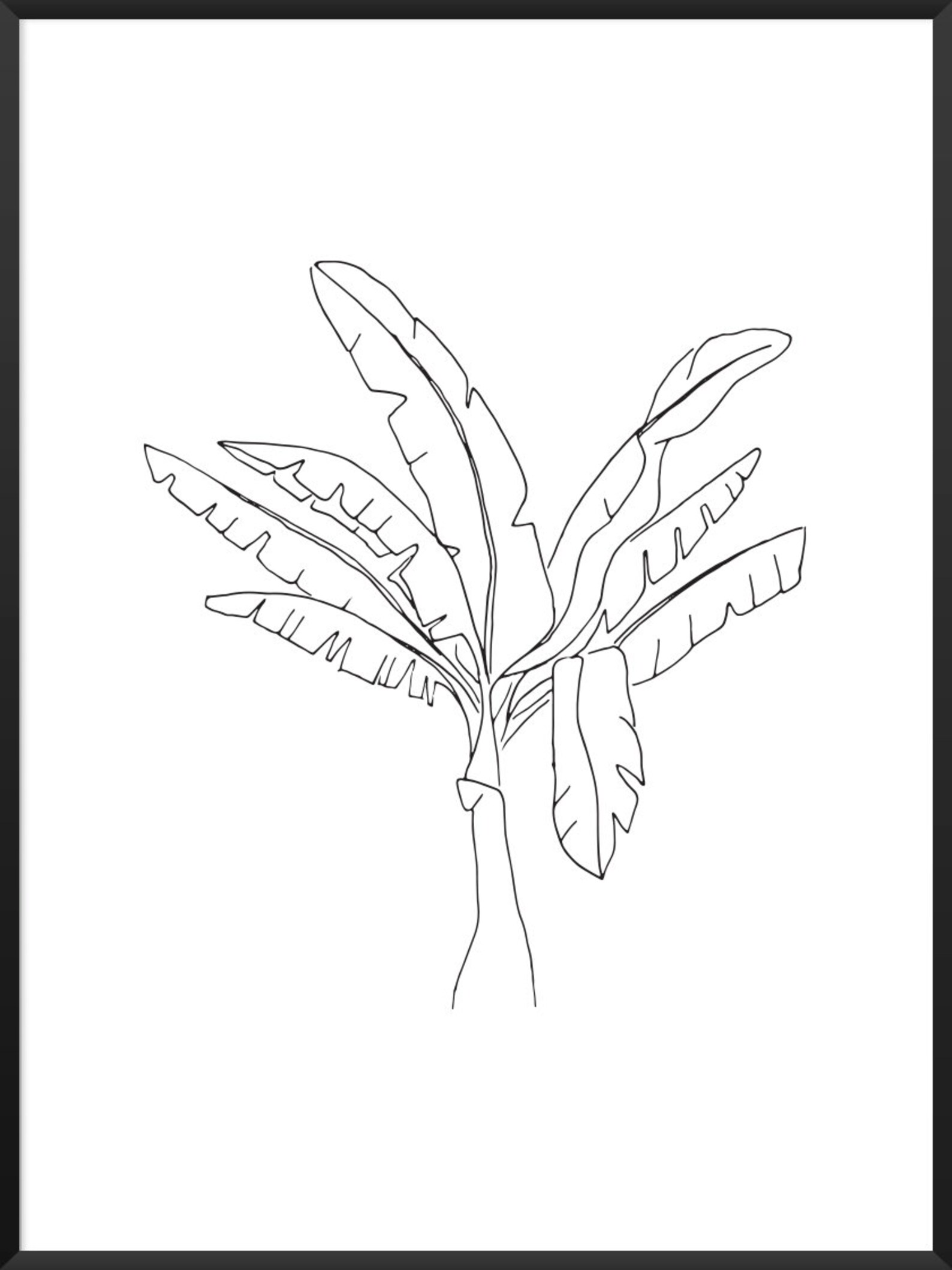 Banana Tree Poster, Botanical Poster, Tropical Poster, Palm Tree Print ...
