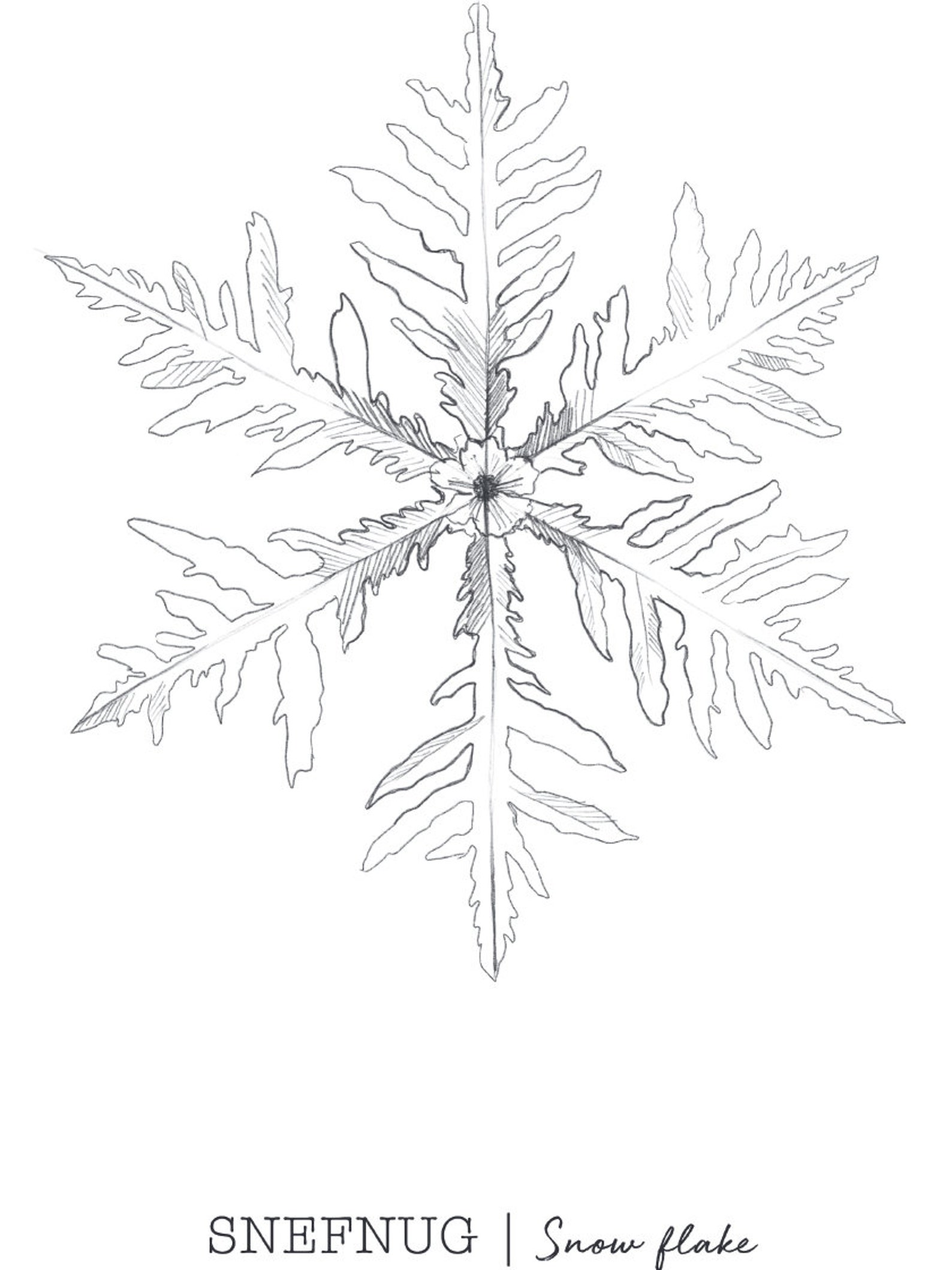 Snowflake Poster Christmas Poster Snowflake Art Holiday - Etsy