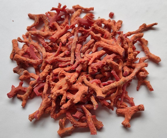 Jewelry Making & Beading Jewelry & Beauty Gemstones Coral Rough Lot 100 ...