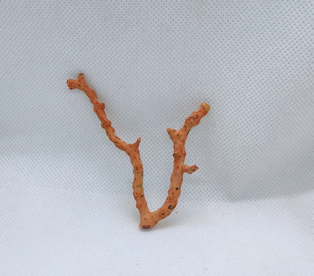 SALE 100%natural Italian Coral Stick Gemstones Loose Red Coral - Etsy