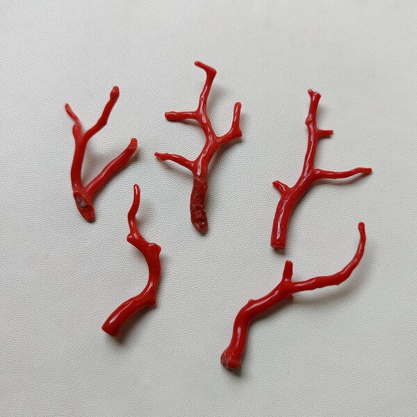 Polished Coral - Etsy