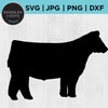 Show Steer USA Flag Svg File,livestock Svg -vector Art Personal Use ...