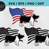 Beef Cattle SVG, Show Cow Svg, Black Angus Cow Svg for Cricut, Beef ...
