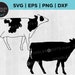 Holstein Svg, Cow SVG, Dairy Cow Cut File for Cricut, Cow Clipart, Milk ...