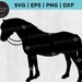 Pony SVG | Welsh Pony SVG | Miniature Horse Svg | Riding Pony | Horse ...