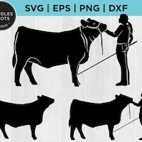 Show Steer Svg Bundle, Beef Cow Svg, Beef Cattle Svg for Cricut ...