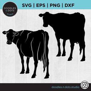 Show Cow Svg, Dairy Cow Svg, Milk Cow SVG, Cow Silhouette Clipart ...