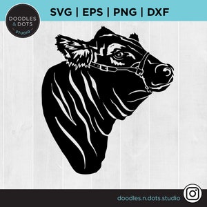 Beef Cattle SVG, Show Cow Svg, Black Angus Cow Svg for Cricut, Beef ...
