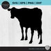 Show Cow Svg, Dairy Cow Svg, Milk Cow SVG, Cow Silhouette Clipart ...
