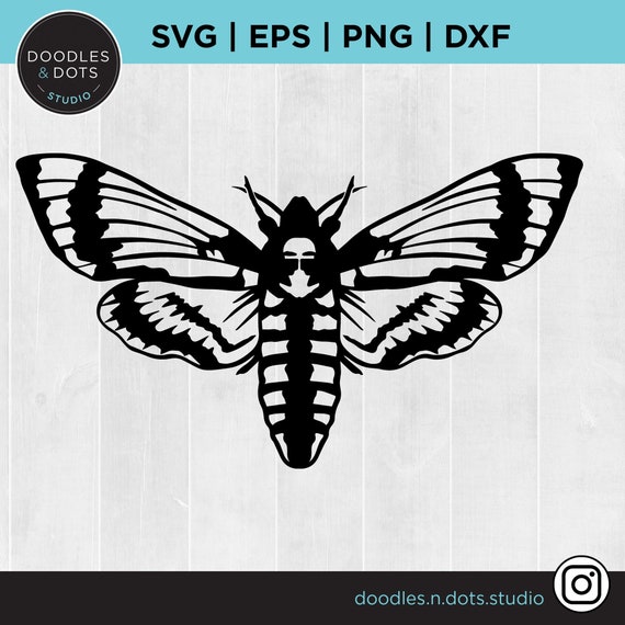 Moth Svg Death Head Moth Svg Death's-head Hawkmoth Svg - Etsy New Zealand