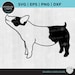 Show Pig SVG Bundle, Pig SVG, Show Stock SVG, Livestock Svg, Hog Farm ...