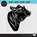 Show Steer Svg Bundle, Beef Cow Svg, Beef Cattle Svg for Cricut ...