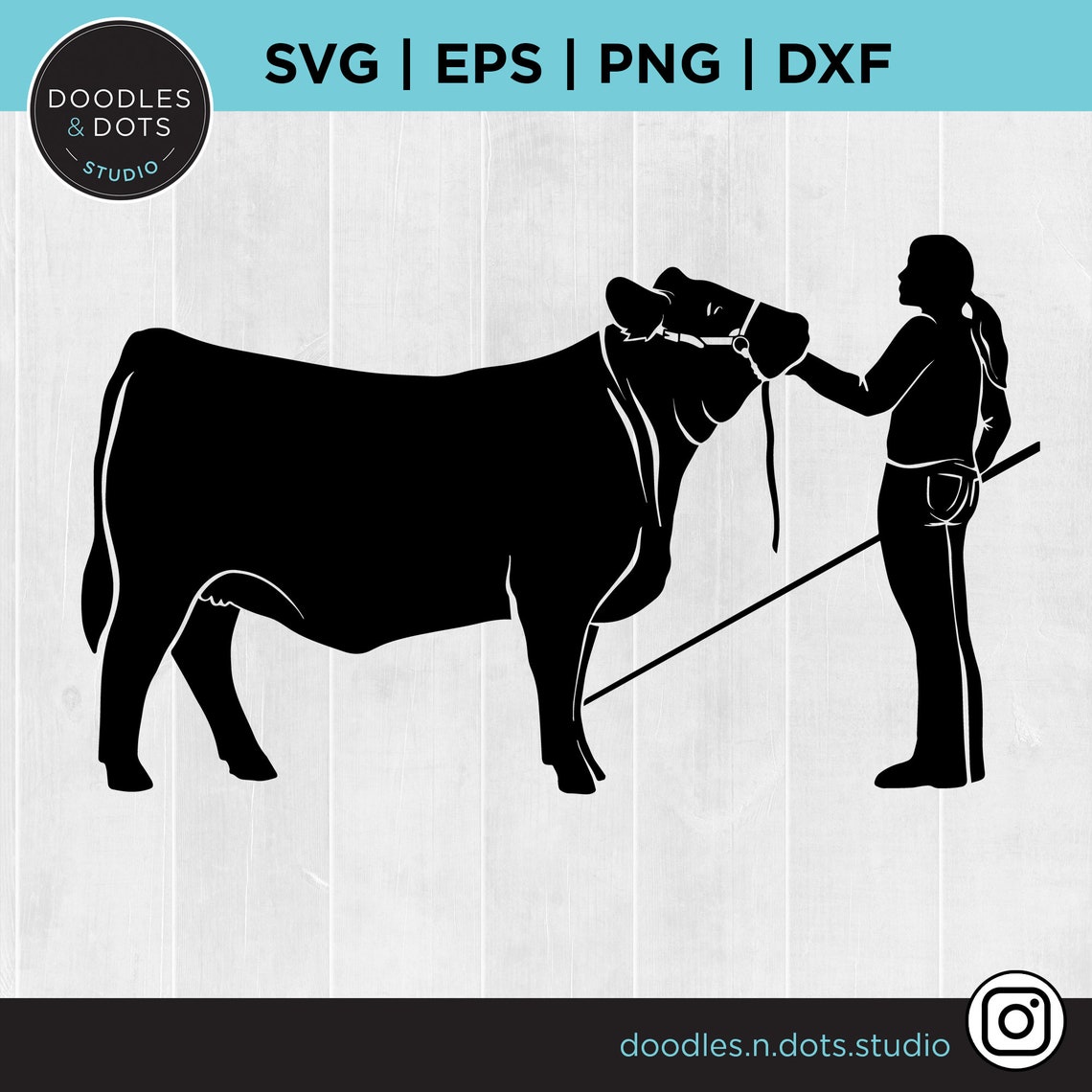 Show Cow SVG, Beef Cow Svg, Beef Cattle Svg for Cricut, Livestock Show ...