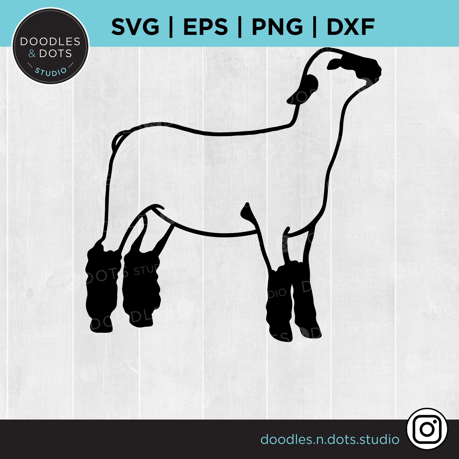 Show Lamb SVG Ewe Lamb SVG Market Lamb Stock Show | Etsy Australia