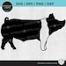 Show Pig SVG | Pig SVG | Show Stock SVG | Livestock Svg | Hog Farm Show ...
