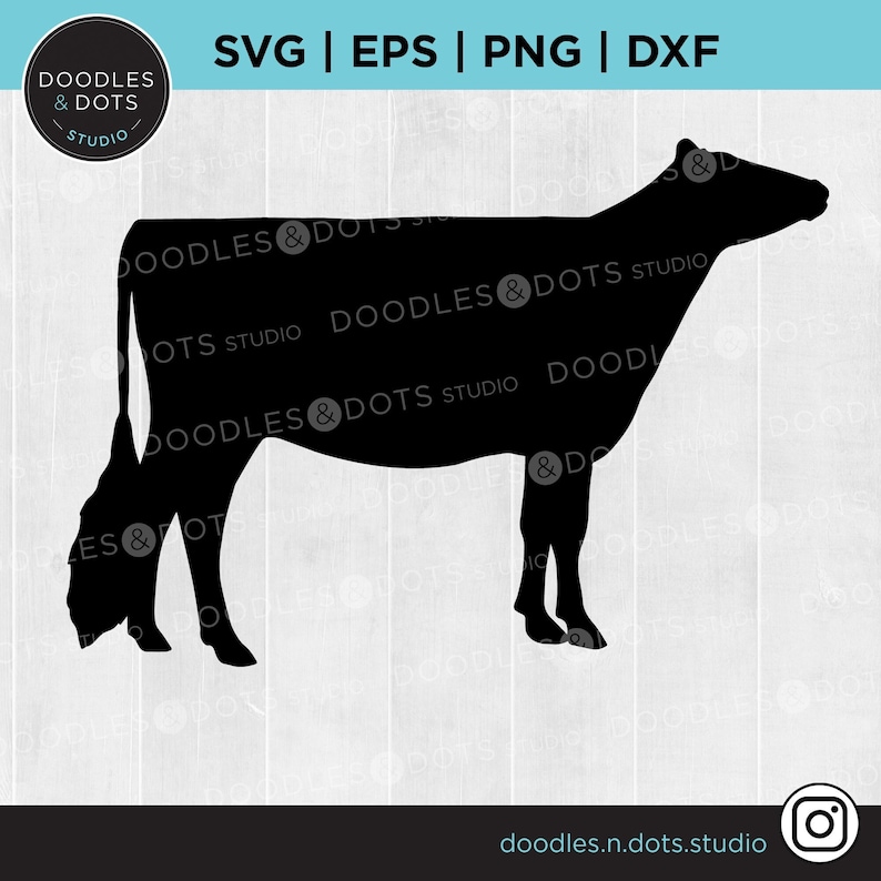 Heifer SVG | Holstein SVG | Cow SVG | Cattle Show | Dairy Cow Cut File ...