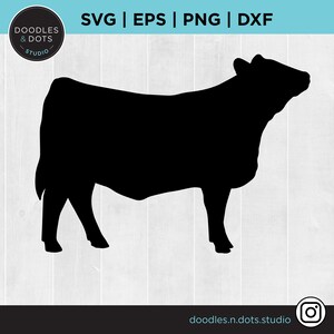 Show Cow SVG, Beef Cow Svg, Beef Cattle Svg for Cricut, Livestock Show ...
