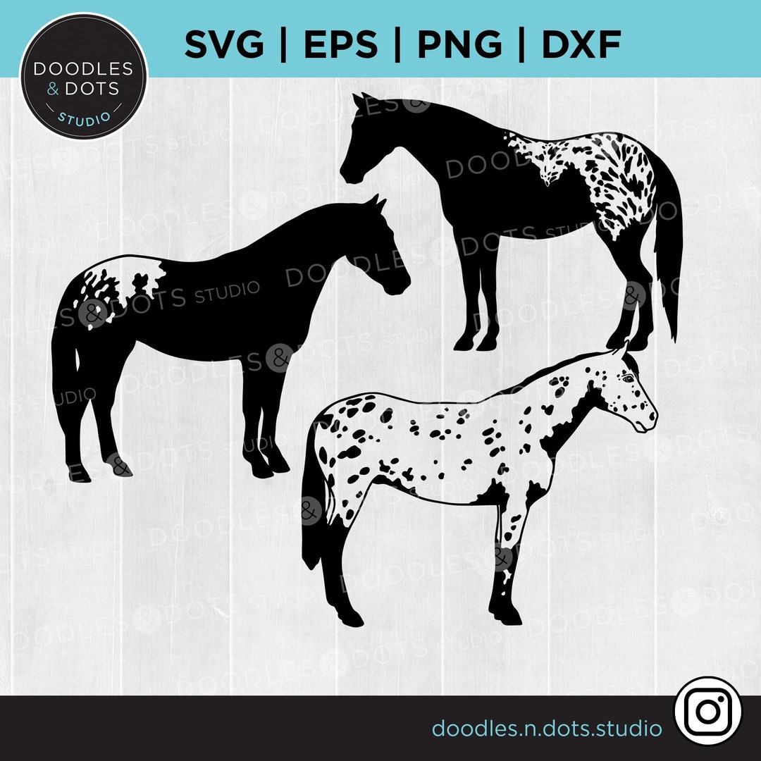 Appaloosa Svg, Appaloosa Horse Svg, Appaloosa Png, Appaloosa ...