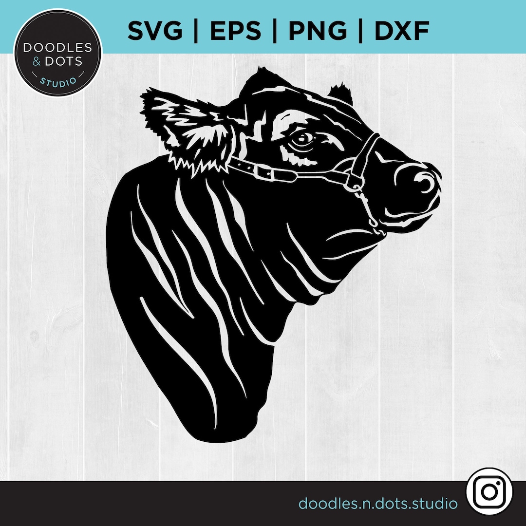 Beef Cattle SVG, Show Cow Svg, Black Angus Cow Svg for Cricut, Beef ...