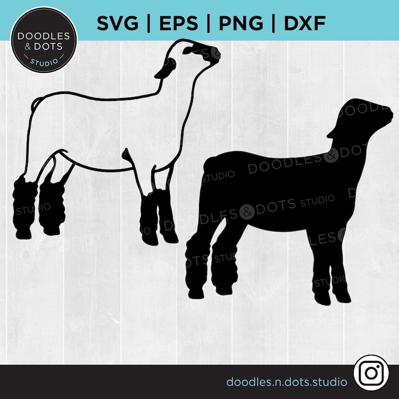 Show Lamb SVG Ewe Lamb SVG Market Lamb Stock Show | Etsy Australia