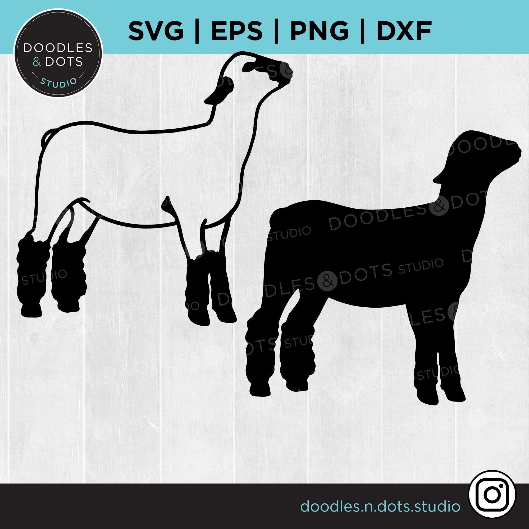 Show Lamb SVG Ewe Lamb SVG Market Lamb Stock Show - Etsy Finland