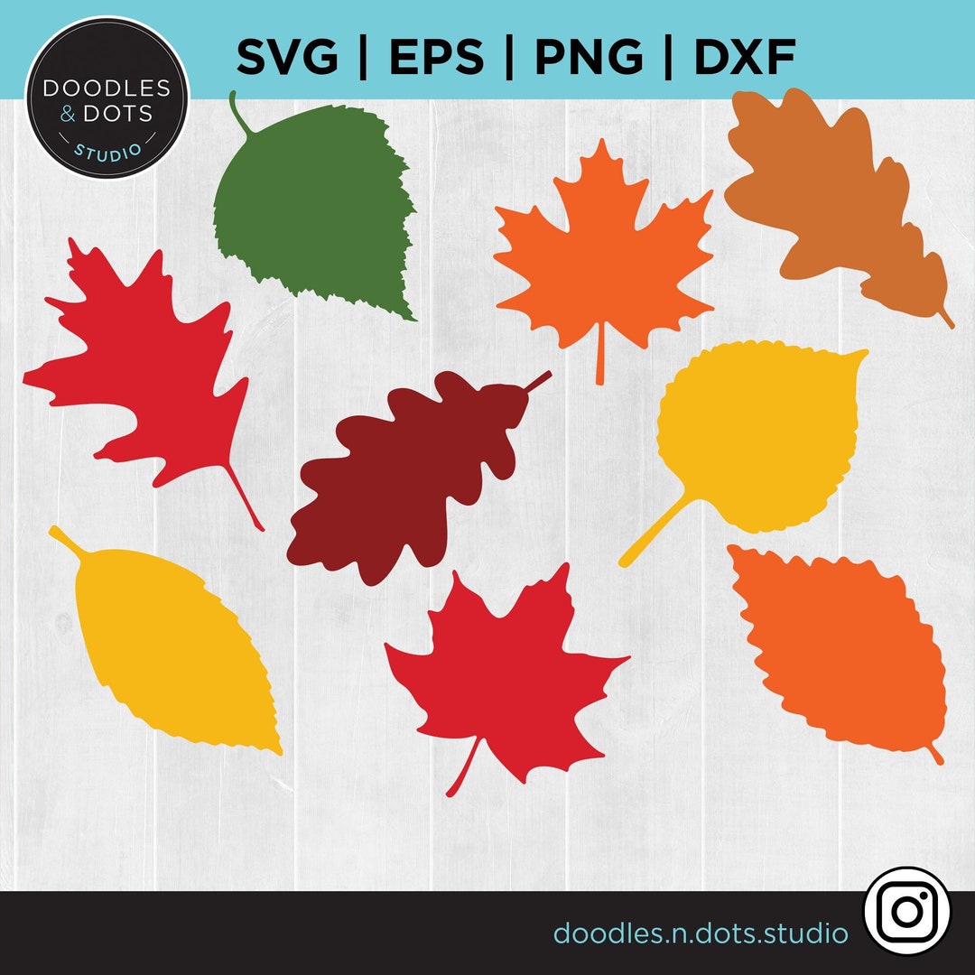 Fall Leaves Svg, Fall Leaf Svg, Fall Leaves Bundle, Autumn Leaves Cut ...
