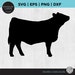 Show Cow SVG, Beef Cow Svg, Beef Cattle Svg for Cricut, Livestock Show ...