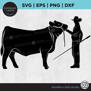 Show Cow SVG, Beef Cow Svg, Beef Cattle Svg for Cricut, Livestock Show ...