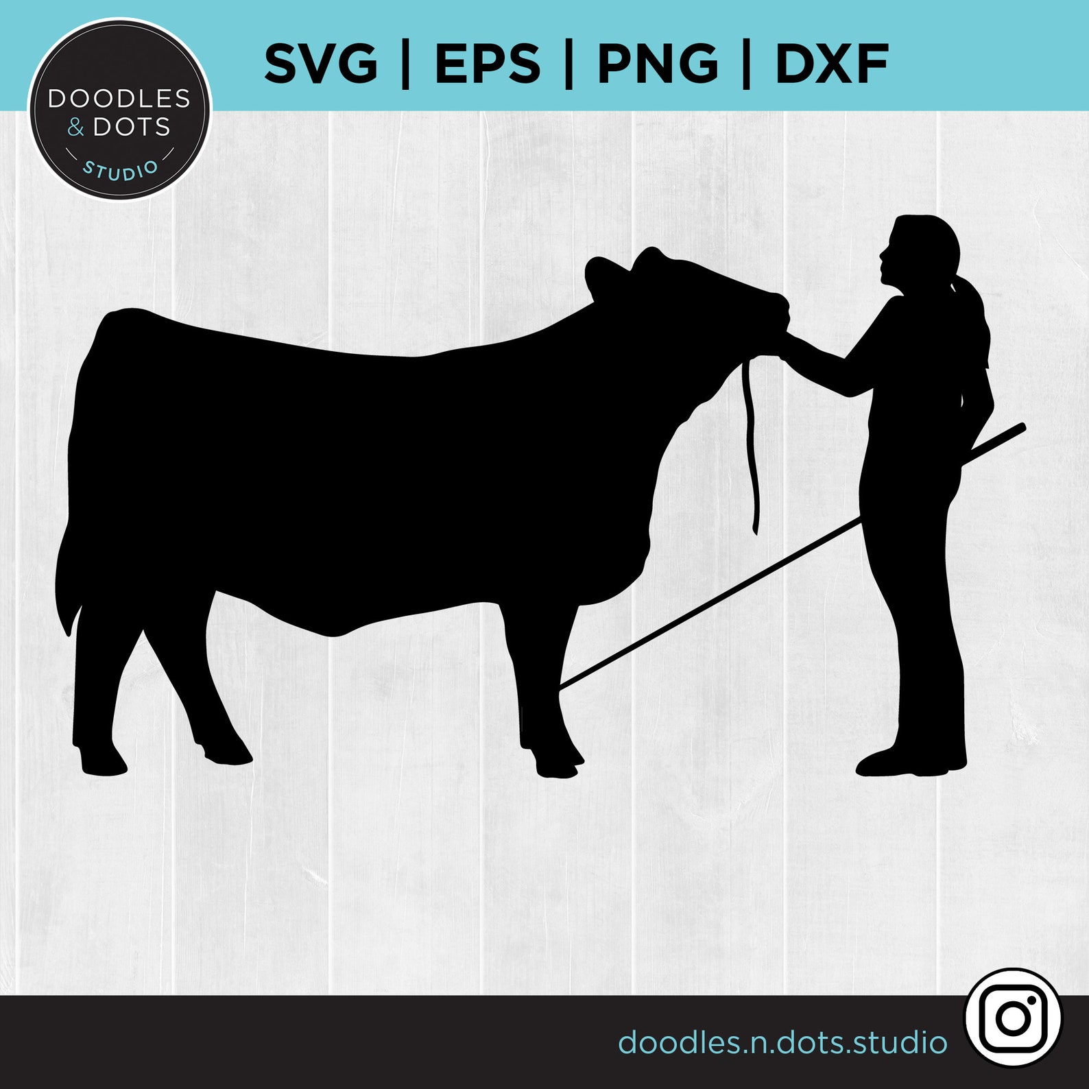 Show Cow SVG, Beef Cow Svg, Beef Cattle Svg for Cricut, Livestock Show ...