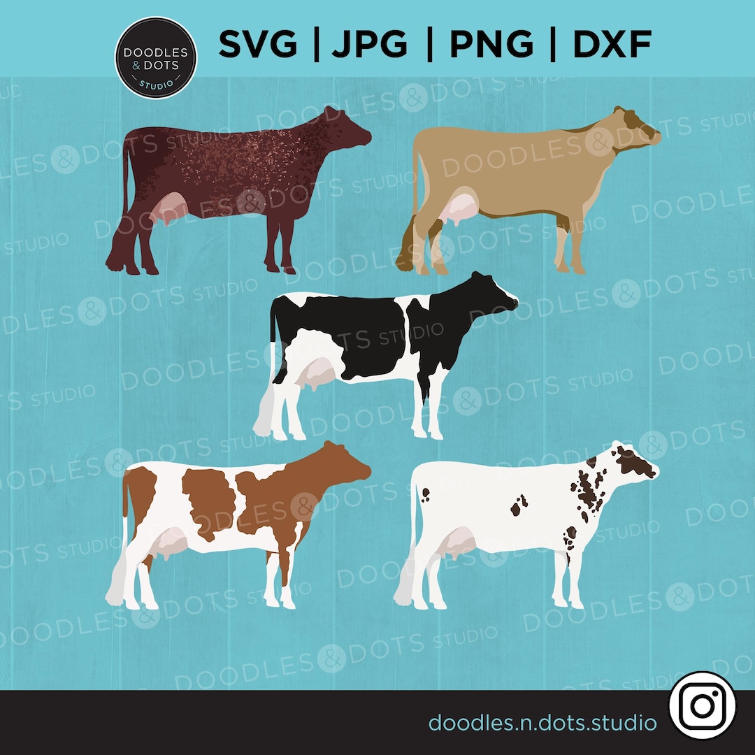 Show Cow Svg, Dairy Cow Breed Bundle, Cow Digital File, Graphic Dairy ...