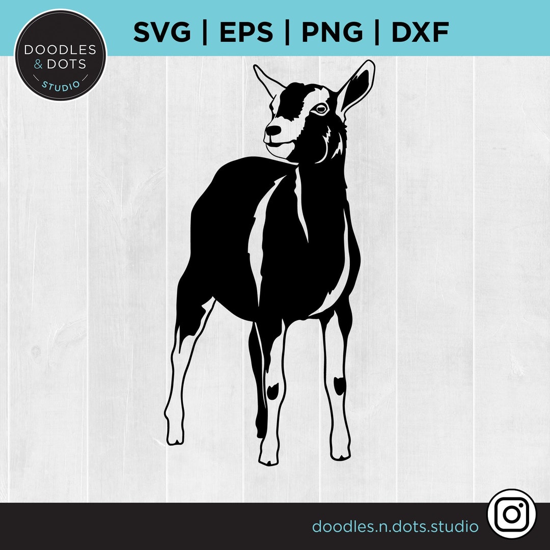 Show Goat Svg, Goat Svg, Stock Show Svg for Cricut, Livestock SVG, Goat ...