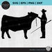 Show Cow SVG, Beef Cow Svg, Beef Cattle Svg for Cricut, Livestock Show ...