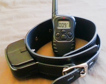 Locking slave collar | Etsy