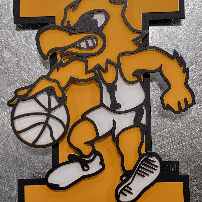 Iowa Hawkeye Decor - Etsy