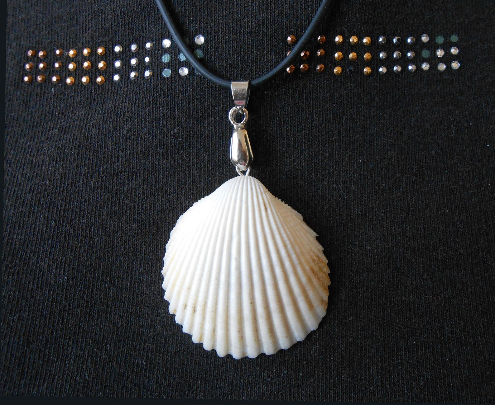 Sea Shell Necklace. Shell Choker for Women. Summer Beach Jewelry - Etsy