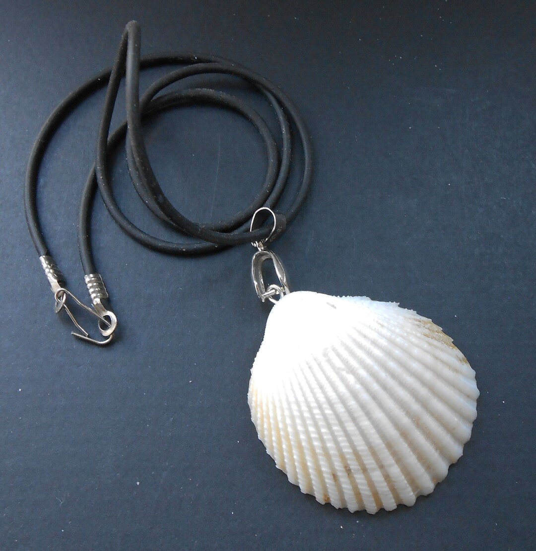 Sea Shell Necklace. Shell Choker for Women. Summer Beach Jewelry - Etsy