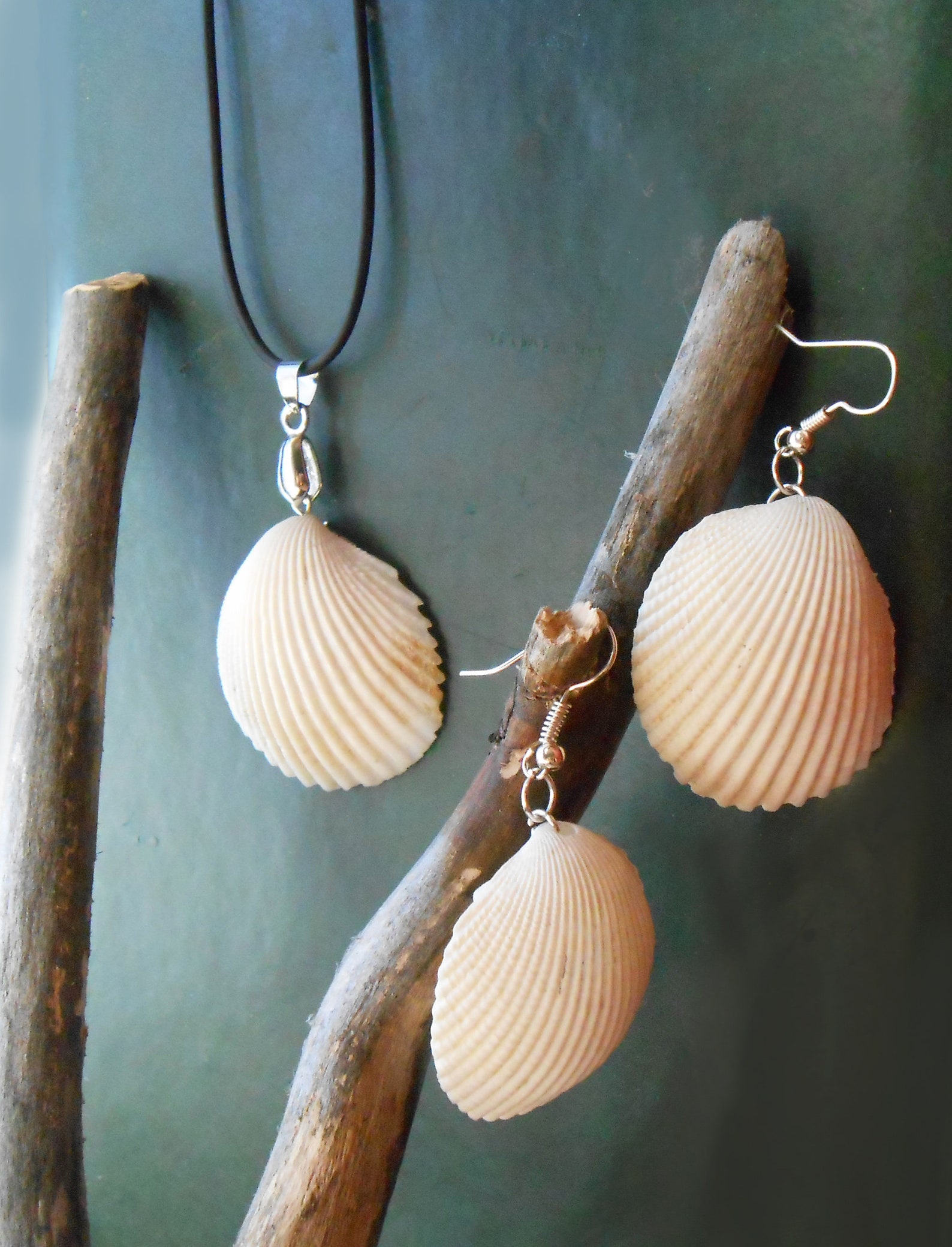 Sea Shell Necklace. Shell Choker for Women. Summer Beach Jewelry - Etsy